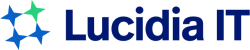 Lucidia IT Client Reviews