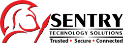 Sentry Technology Solutions Client Reviews