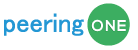 PeeringOne Company Profile